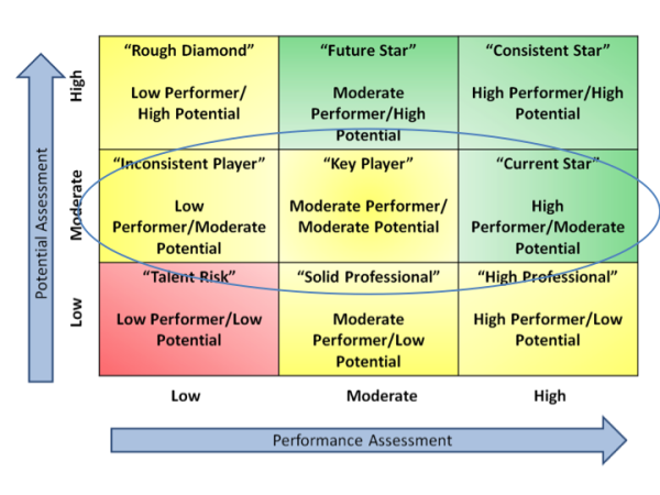 Developing Future Promise Use The 9 Box To Develop Talent In 